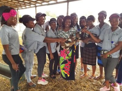 Mbuzi: Goats in Zambia - Goat Journal